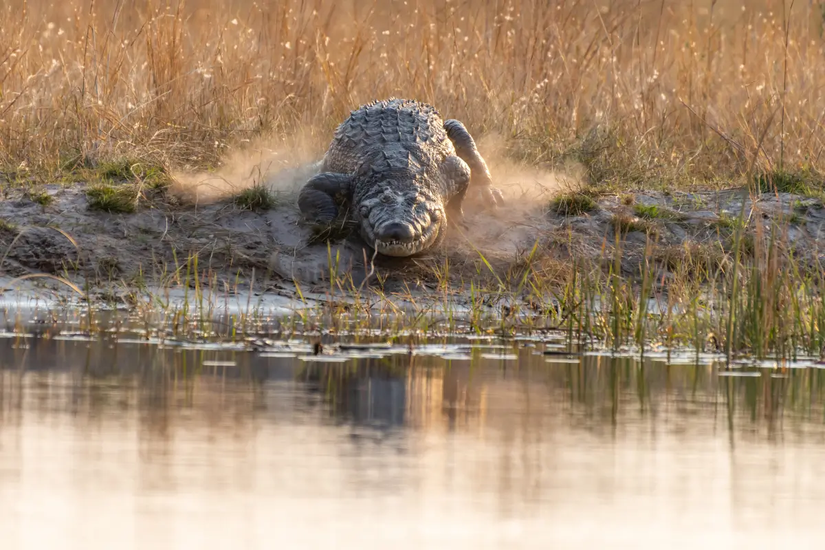 The Caprivi Strip – Speke Travel