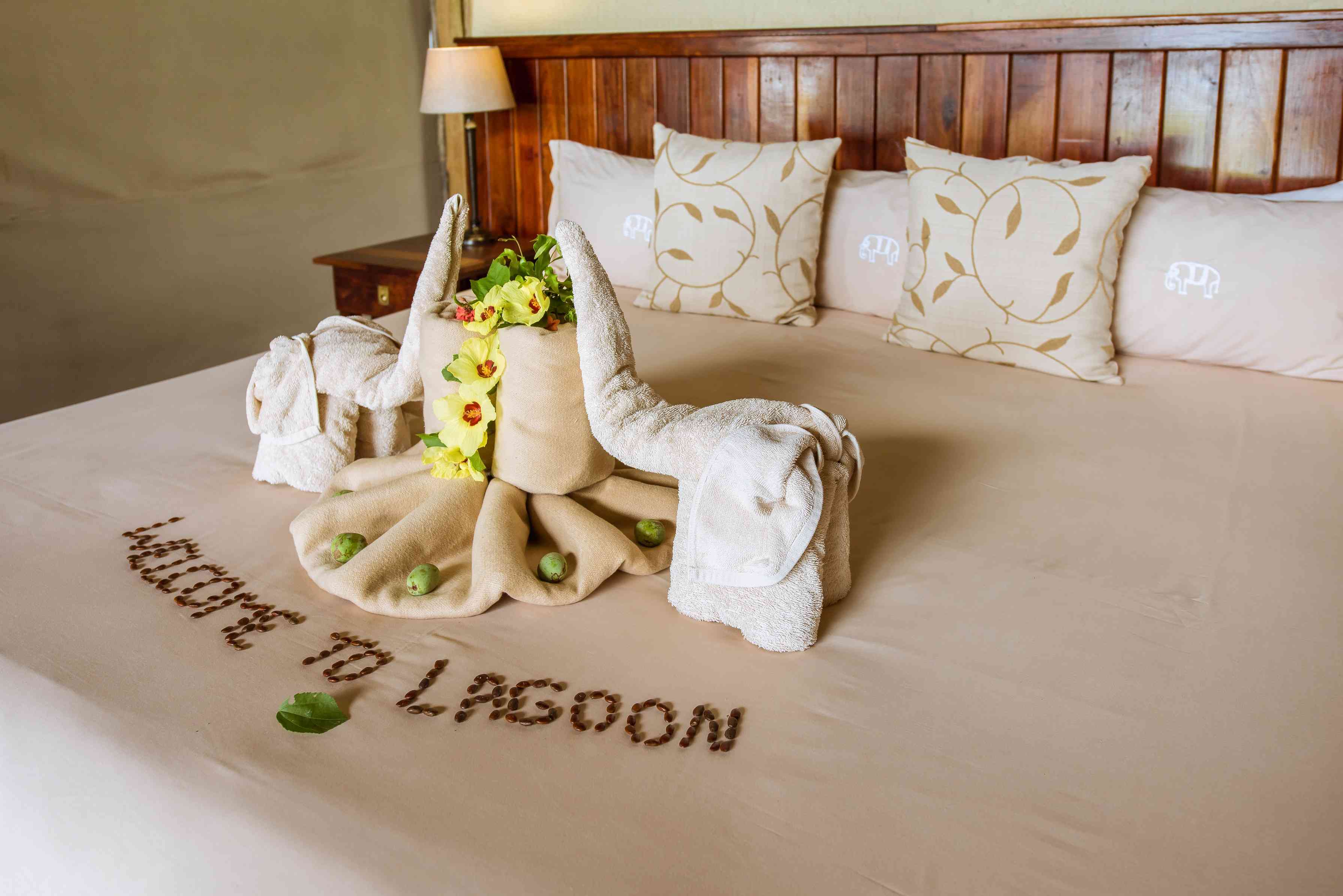 Lagoon Camp – Speke Travel